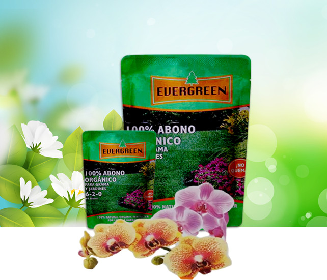 contact | Evergreen Puerto Rico